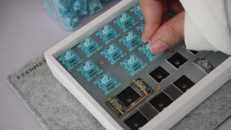 Complete Guide To Are Blue Switches Good For Gaming Or Not 2024 ...