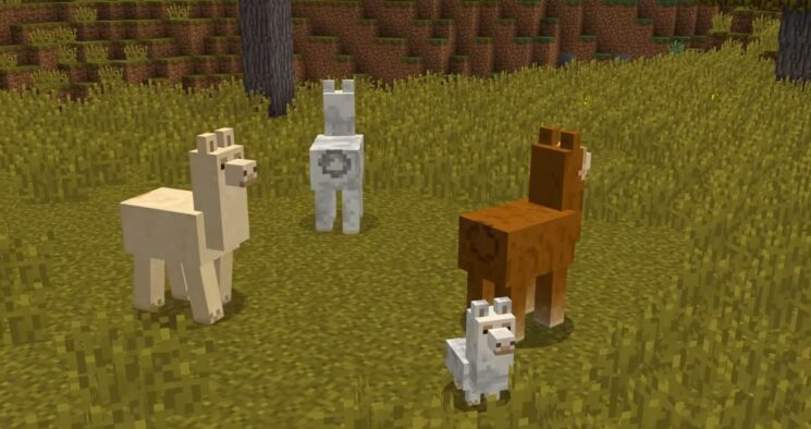 How to Control Llama in Minecraft: The Complete Steps