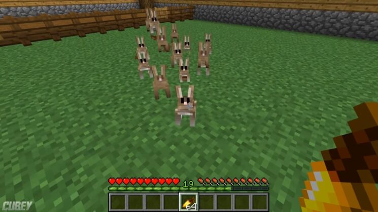How To Tame A Rabbit In Minecraft? Are They Tamable In Minecraft?