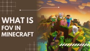 What Is FOV In Minecraft? - Does It Matter On Minecraft Gaming?