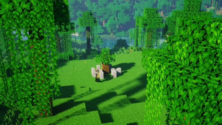 Learn How To Find A Jungle In Minecraft & Enjoy The Game - Exploring ...