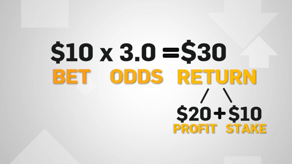 From Fractional to Decimal: A Guide to Understanding Betting Odds - Alt Gov